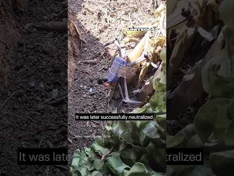 Ukrainian Soldier Finds Russian FPV Drone in His Trench #warinukraine