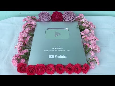 Cảm ơn các bạn yêu quý của tôi | Nút Bạc Youtube