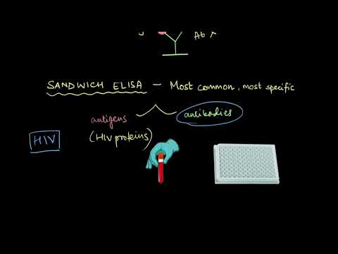 ELISA — Biotechnology and its Applications Video Lecture - Crash Course ...