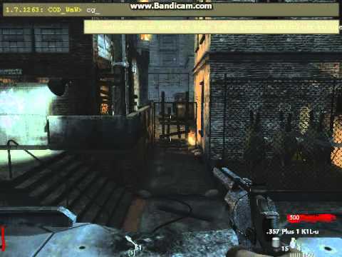 WAW PC console commands