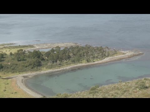 El Parque Estrecho de Magallanes, un enigmático lugar tirístico en el confín del mundo