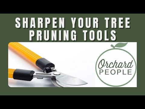 Sharpening Tree Pruning Tools 🪚🌳 🧰 with OrchardPeople.com