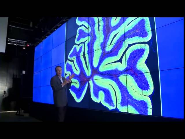 What is Brain-inspired Computing | Ai Basics | Ai Online Course