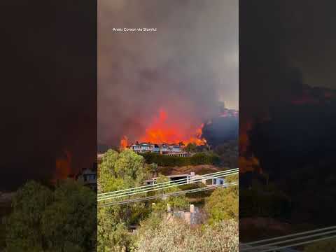 Videos show the Palisades Fire ripping through neighborhoods, forcing evacuations