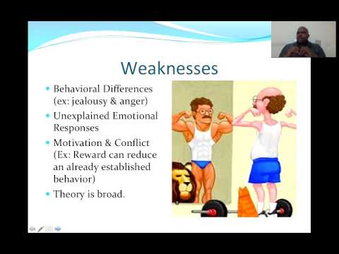 Social Cognitive Theory in Health Informatics