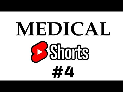 LUMBAR VERTEBRA | VERTEBRAL COLUMN #medicoverse #medical #mbbs #medicalshorts