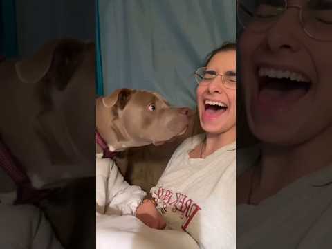 Dog Finds Out Owner Can SPEAK..🤣