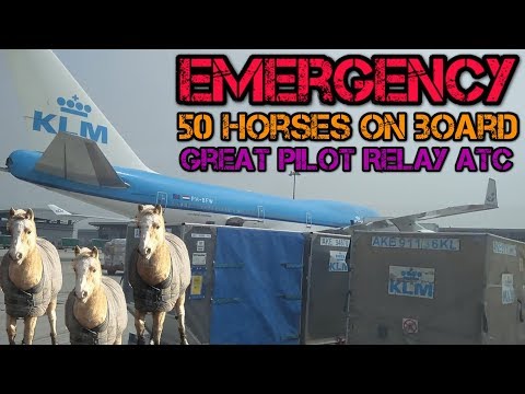 KLM Cargo with 50 horses operating for Martin Air MP7342 Emergency Interesting ATC