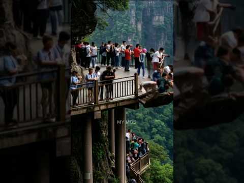 Platform collapsed when crowded with tourists #shorts #TouristOverload #PlatformCollapse #nature