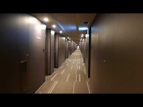 Royal Park Hotel THE Haneda, Tokyo - Deluxe Twin