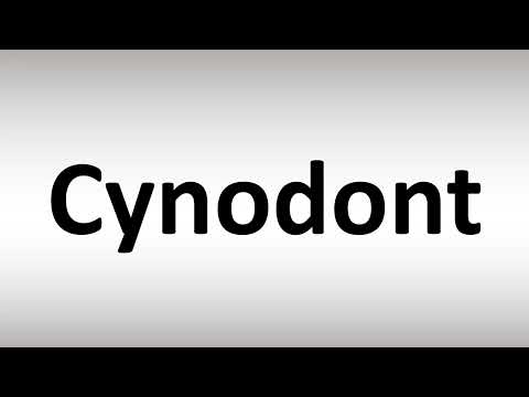 How to Pronounce Cynodont