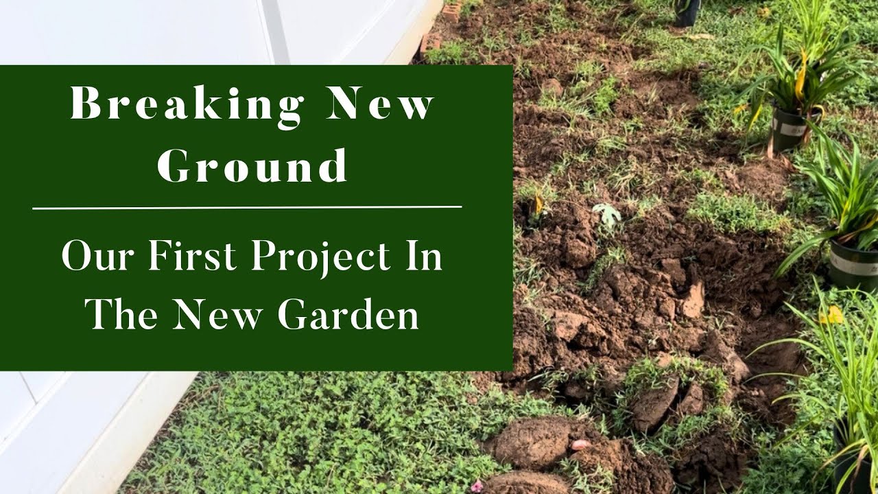 Breaking Ground| Our First Project In The New Garden