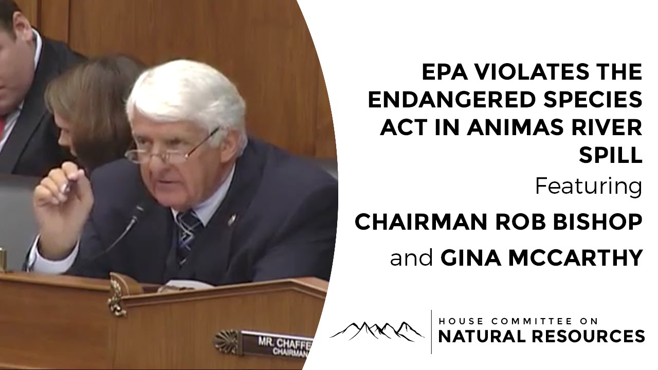 Bishop questions EPA on violation of the law