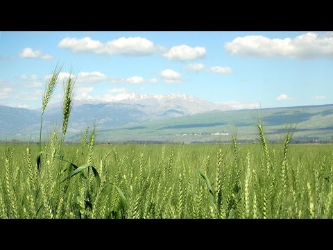 Parsha 03 - Lekh-Lekha - Why Treasure the Land of Israel? (Excerpt A)