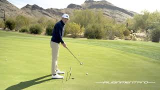 Alignment Pro Double Hinge Package | PGA TOUR Superstore