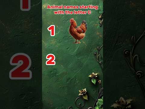 animal names starting with the letter C #cartton #animation #short