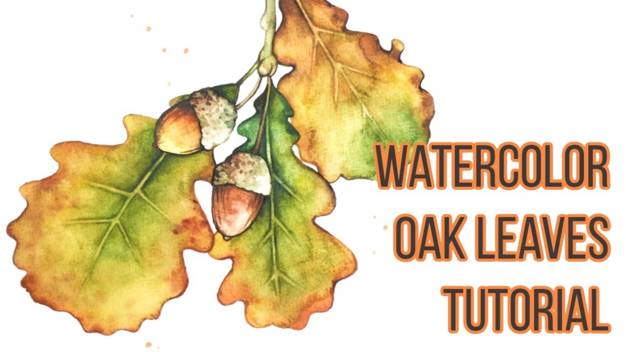 Watercolor Oak Leaf and Acorn Tutorial