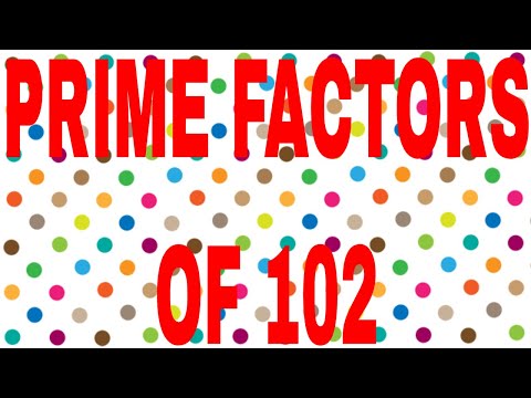 PRIME FACTORS OF 102