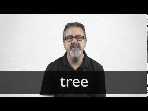 How to pronounce TREE in British English