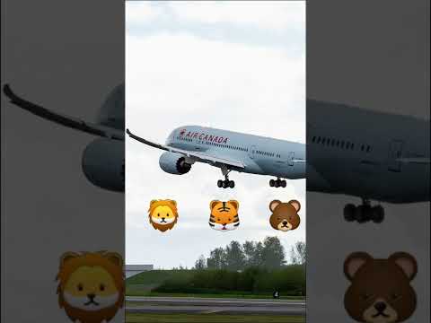 I'm not scared... | Air Canada Edition | #shorts #aviation #aircanada