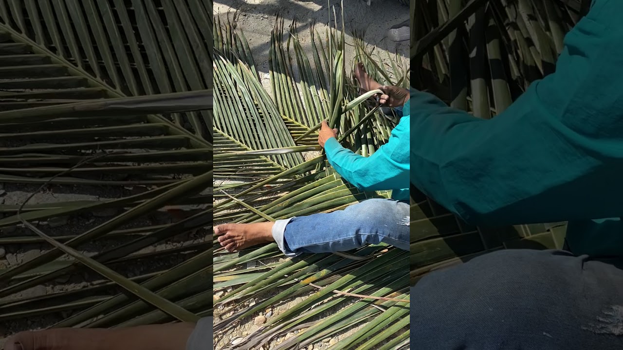 tejido de palma