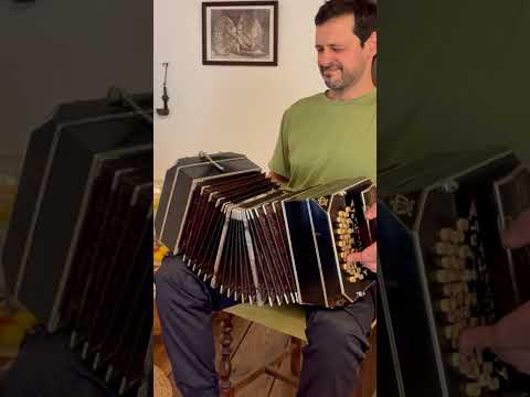AA Alfred Arnold Bandoneon Zinc Plates 1920's - TANGO | Reverb