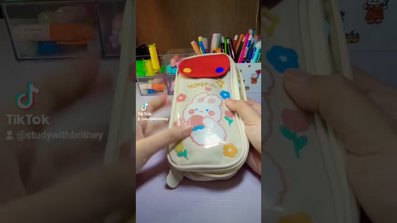 My Pencil Case Collection