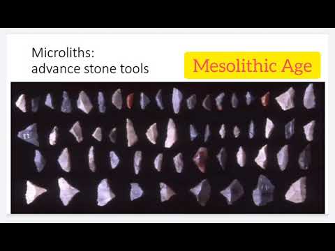 The Mesolithic Age (Middle Stone Age)