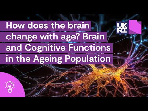 How does the brain change with age? Part #1 | Brain and #CognitiveFunction in the #Ageing Population