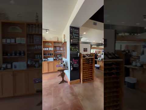 Messina Hof Winery- culture and family! Go check them out!