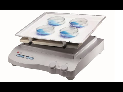 LCD Digital 3D Shaker