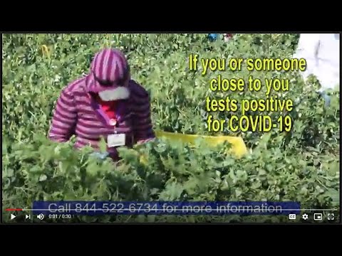 COVID-19 Supplemental Paid Sick Leave