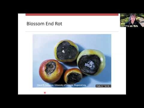 Field to Fork 2023: Recognizing Common Tomato Problems and Emerging Diseases