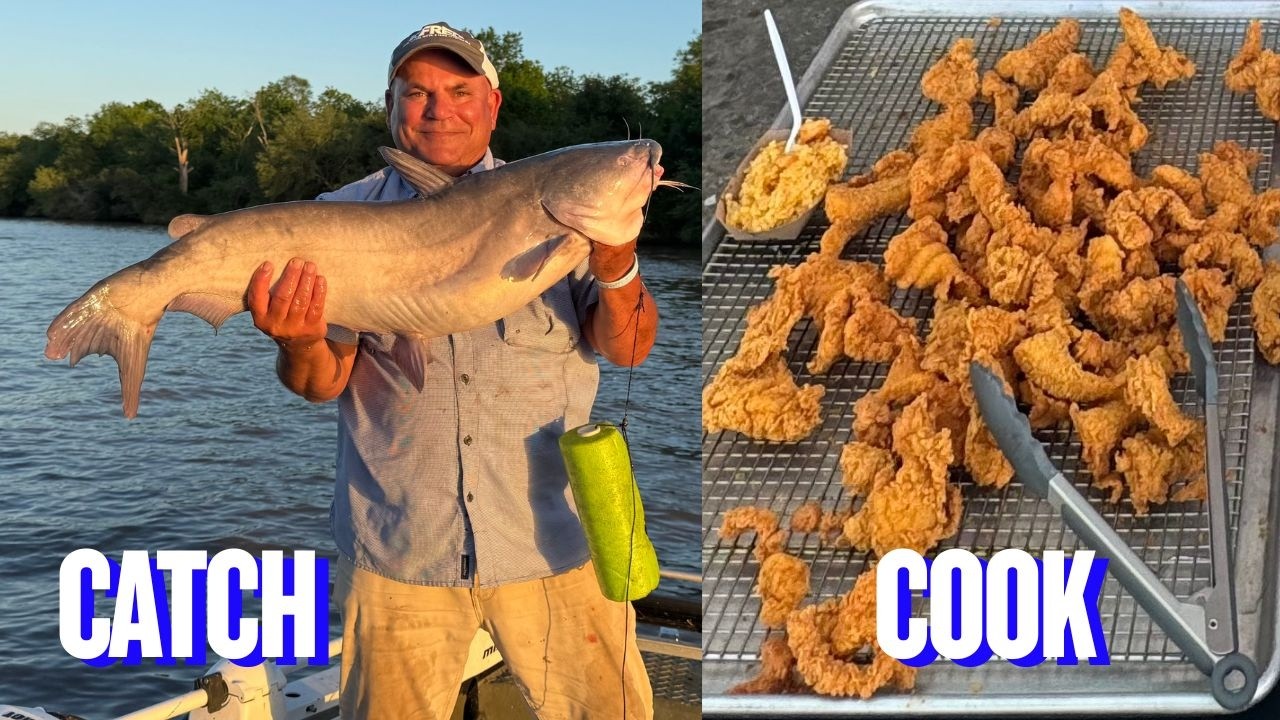 Huge Catfish On Jug Lines (Catch * Cook) Fried Fish , Shrimp Rice and Boiled Shrimp
