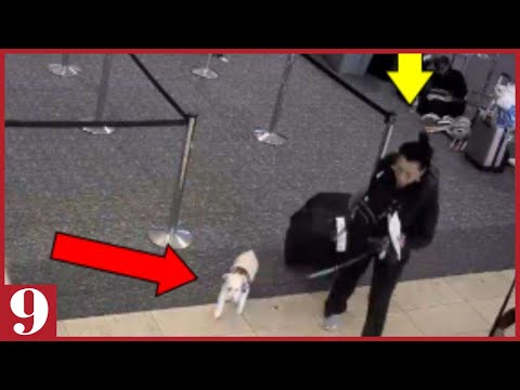 Arrest details, photos released of woman accused of drowning dog in Orlando airport bathroom