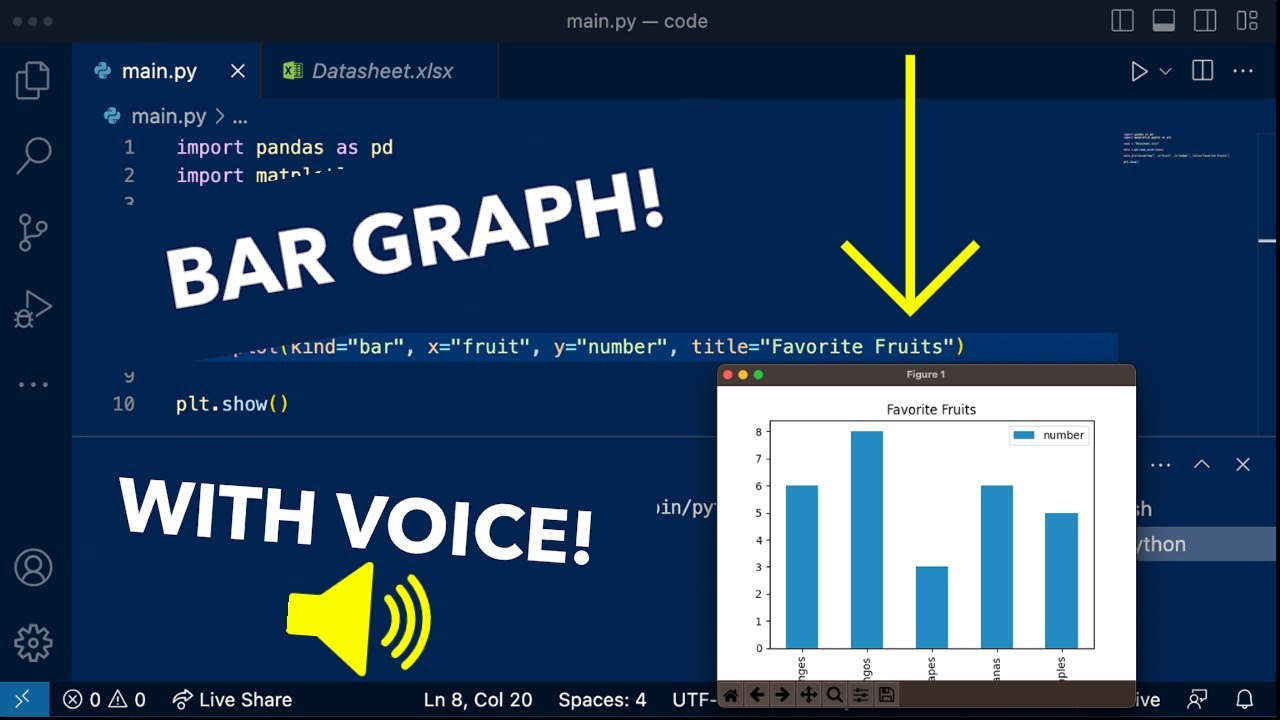 How to Make a Graph with Pandas in Python | Not so Pro Python Tutorials