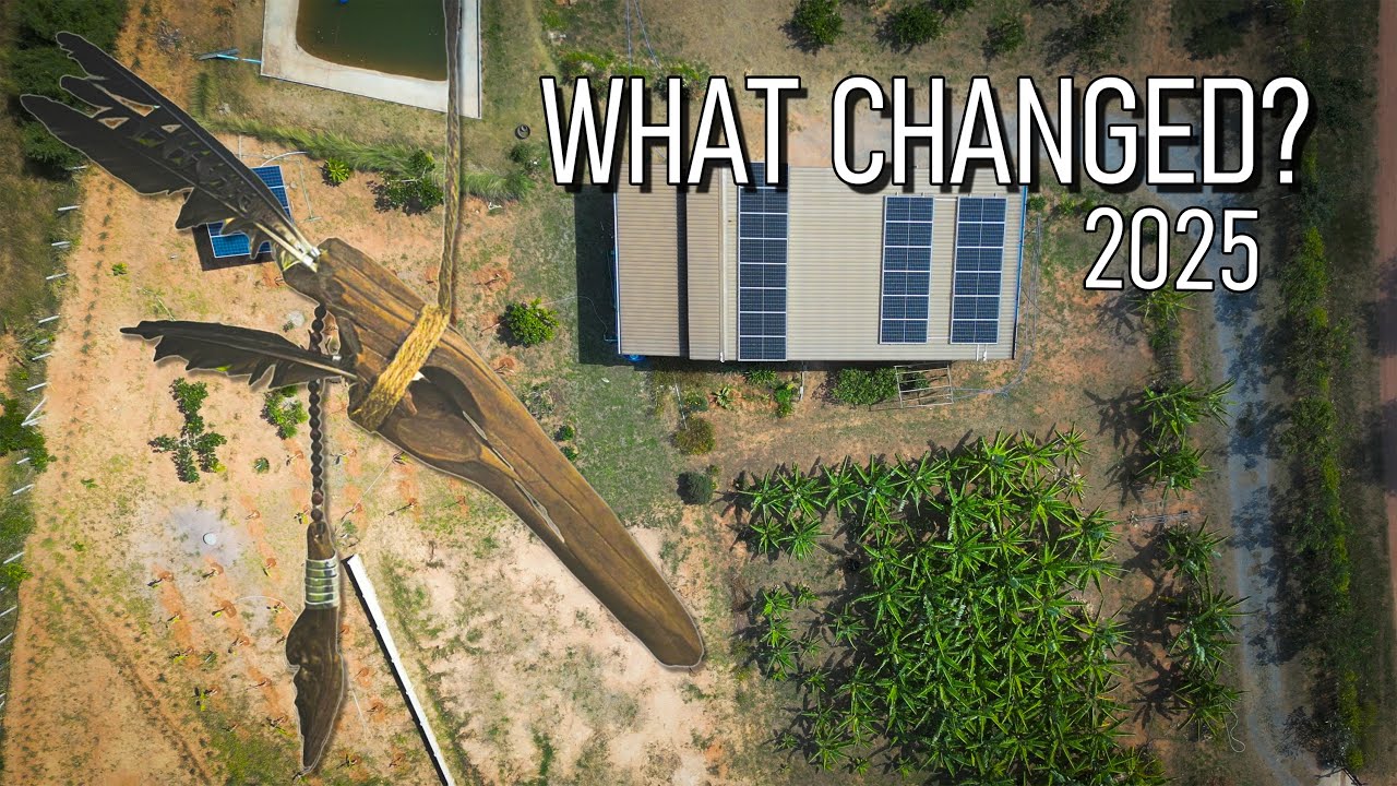 Sanctuary, Farmstead & Art: What Changed in 2025