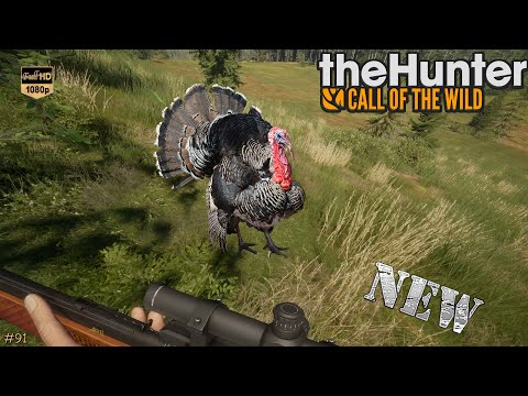 Steam Community :: Video :: THEHUNTER COTW #91TEST DE LA MAP SILVER ...