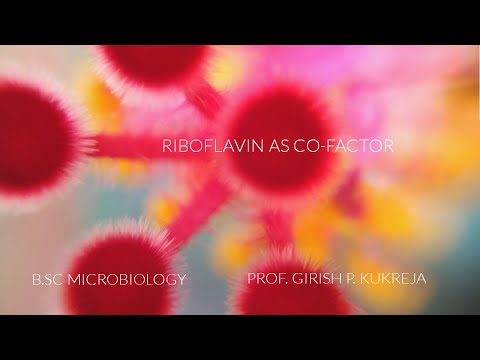 Riboflavin - Role of Co factors in metabolism - T Y B Sc Microbiology - transfer of hydrogen atoms