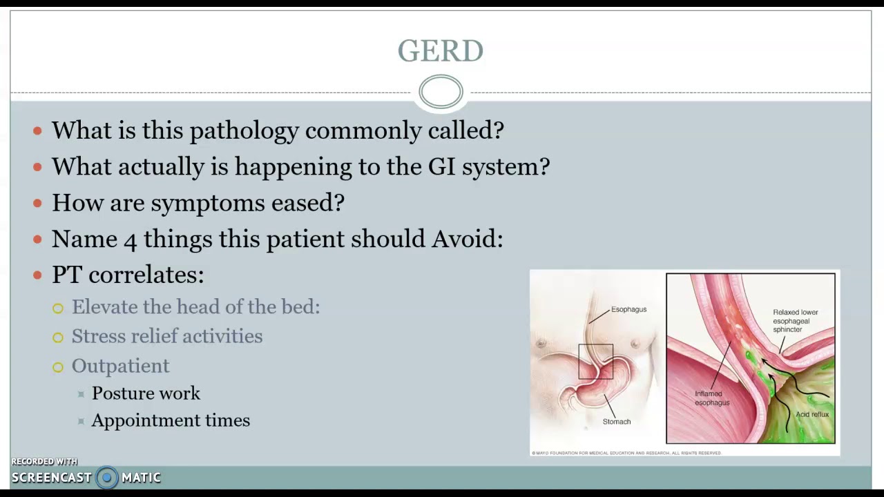 module #6 flashcards