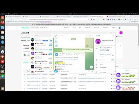Unlock Profits: How to Copy Trade Successful Crypto Wallets Like a Pro!