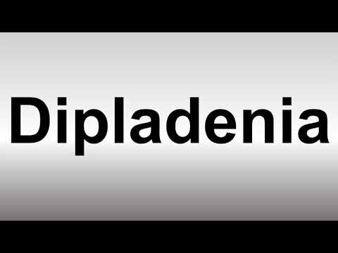 How to Pronounce Dipladenia