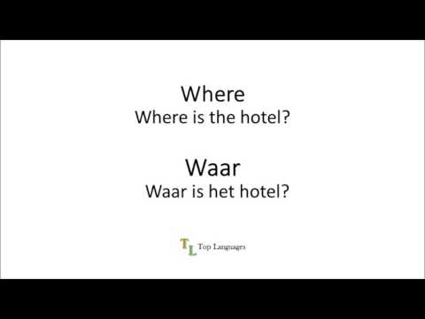 Learn Dutch English - Most important Question words sentences - Vragen stellen - Nederlands Engels
