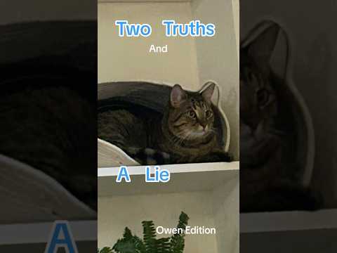 Two Truths and a Lie: Owen Edition