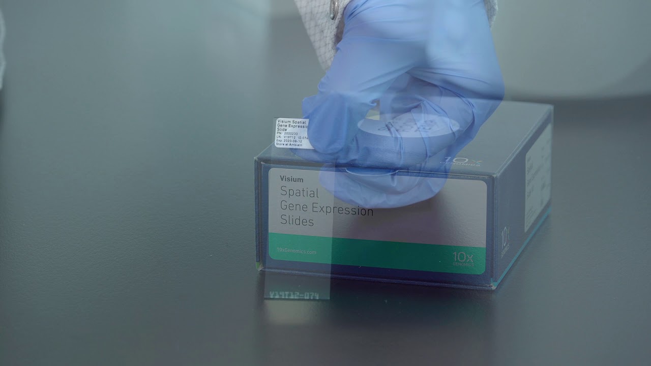 Visium Spatial Gene Expression Protocol | Getting Started
