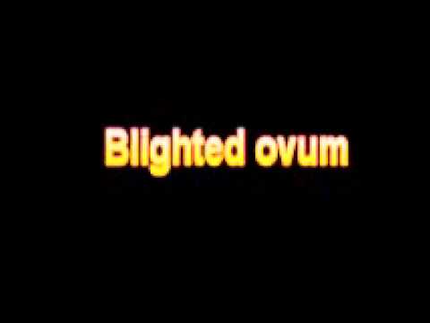 What Is The Definition Of Blighted ovum Medical Dictionary Free Online