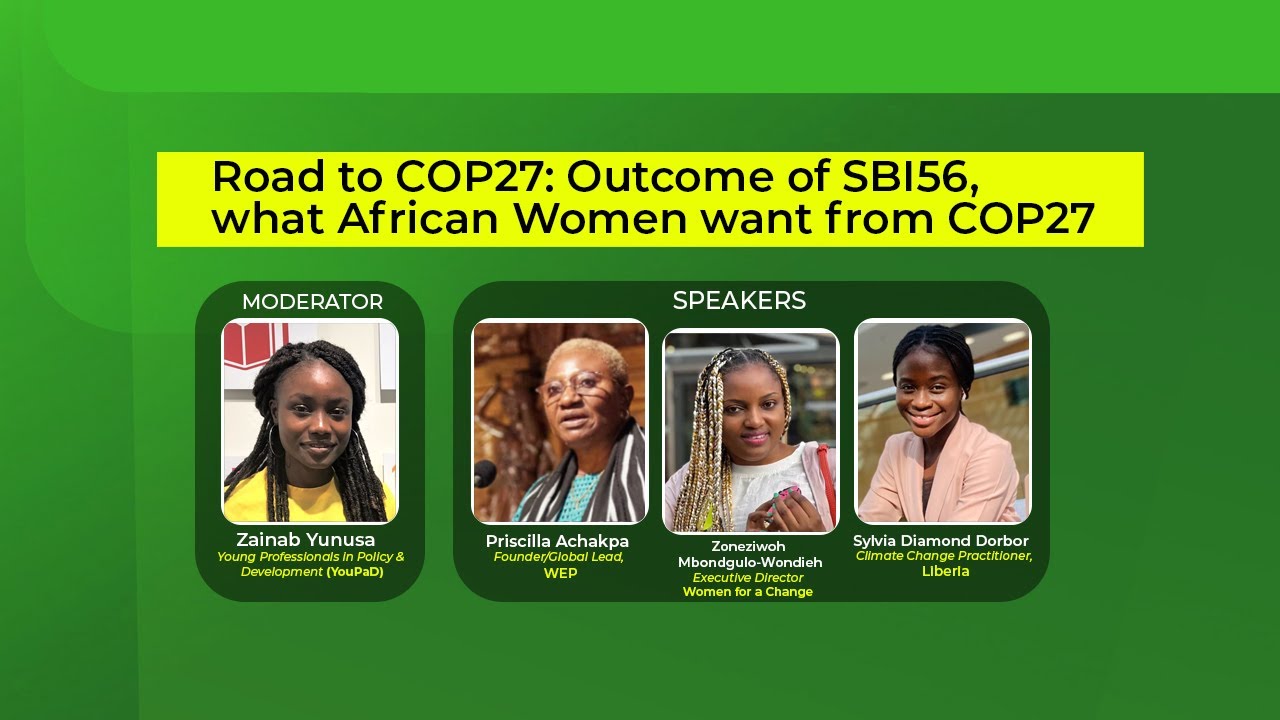 WEP – Women Environmental Programme