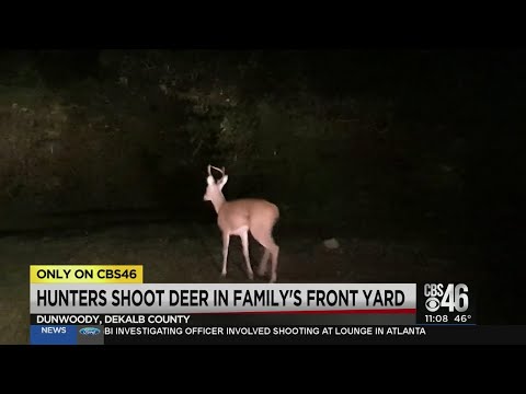CRIME ALERT: Urban hunters kill deer on front lawns
