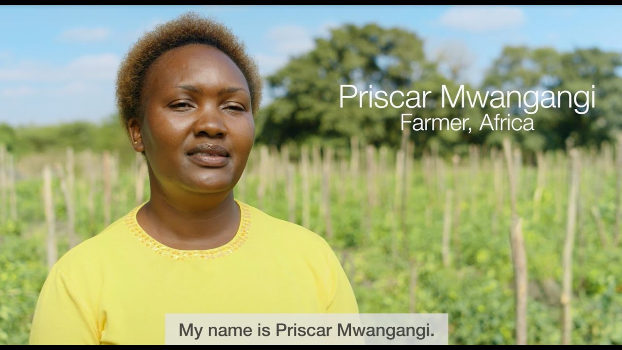 Improving yields and livelihoods