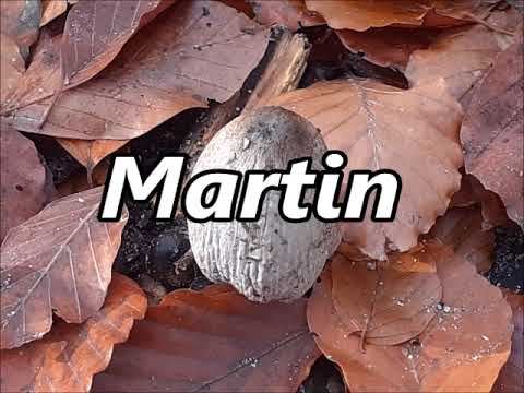 MARTIN as a family name the meaning and origin of the name